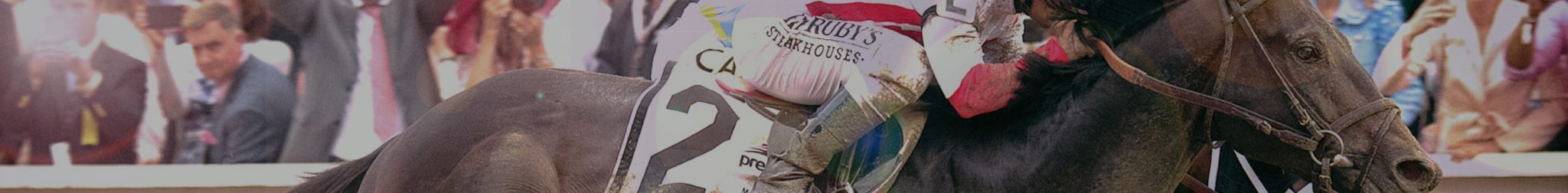 Frequently Asked Questions | Preakness Stakes