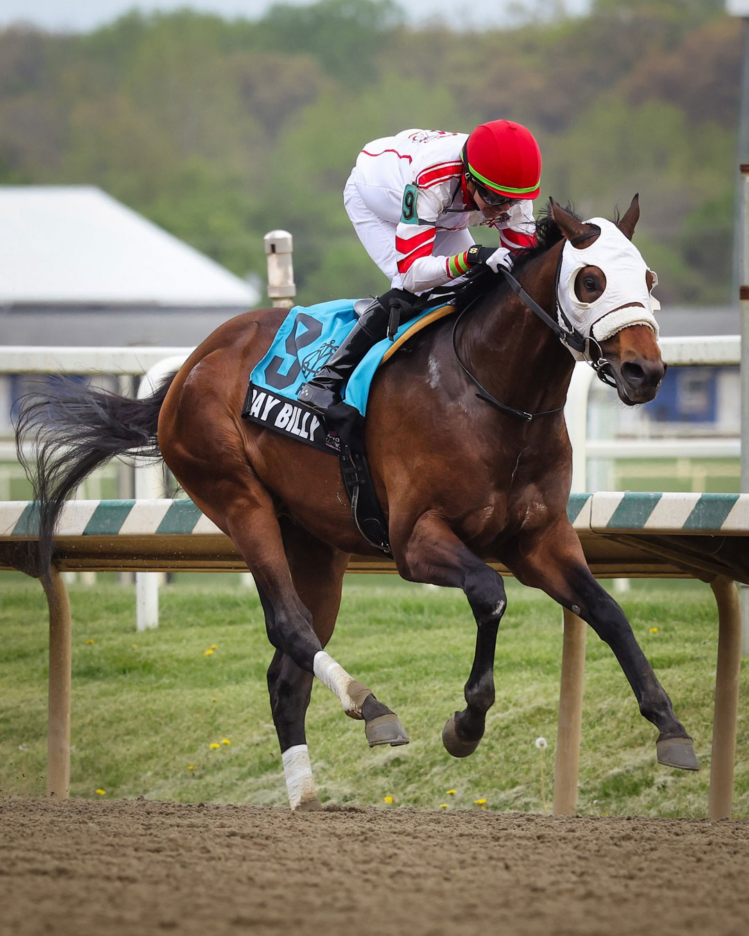 2025 Results | Preakness 150 | Preakness Stakes