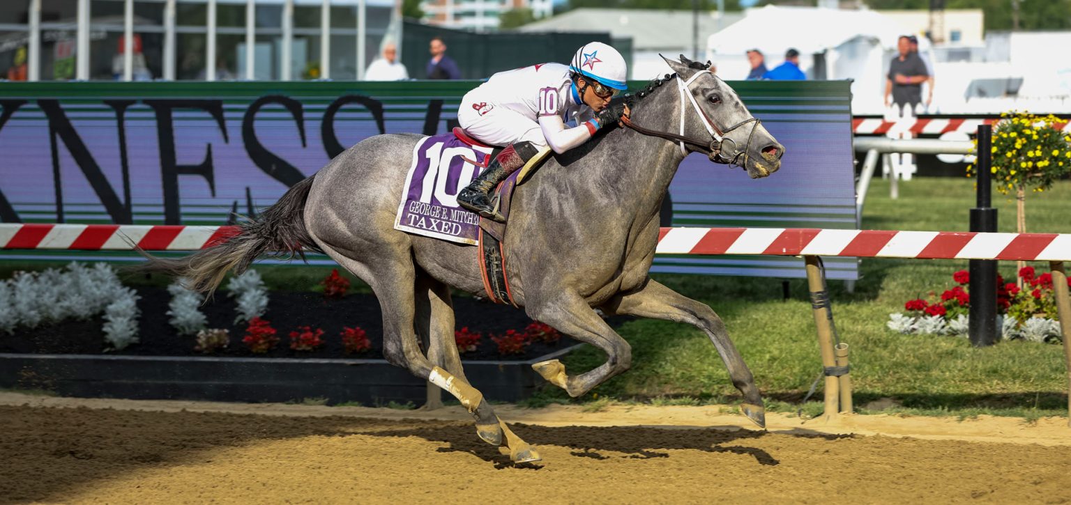Black-Eyed Susan | Preakness 149 | Preakness